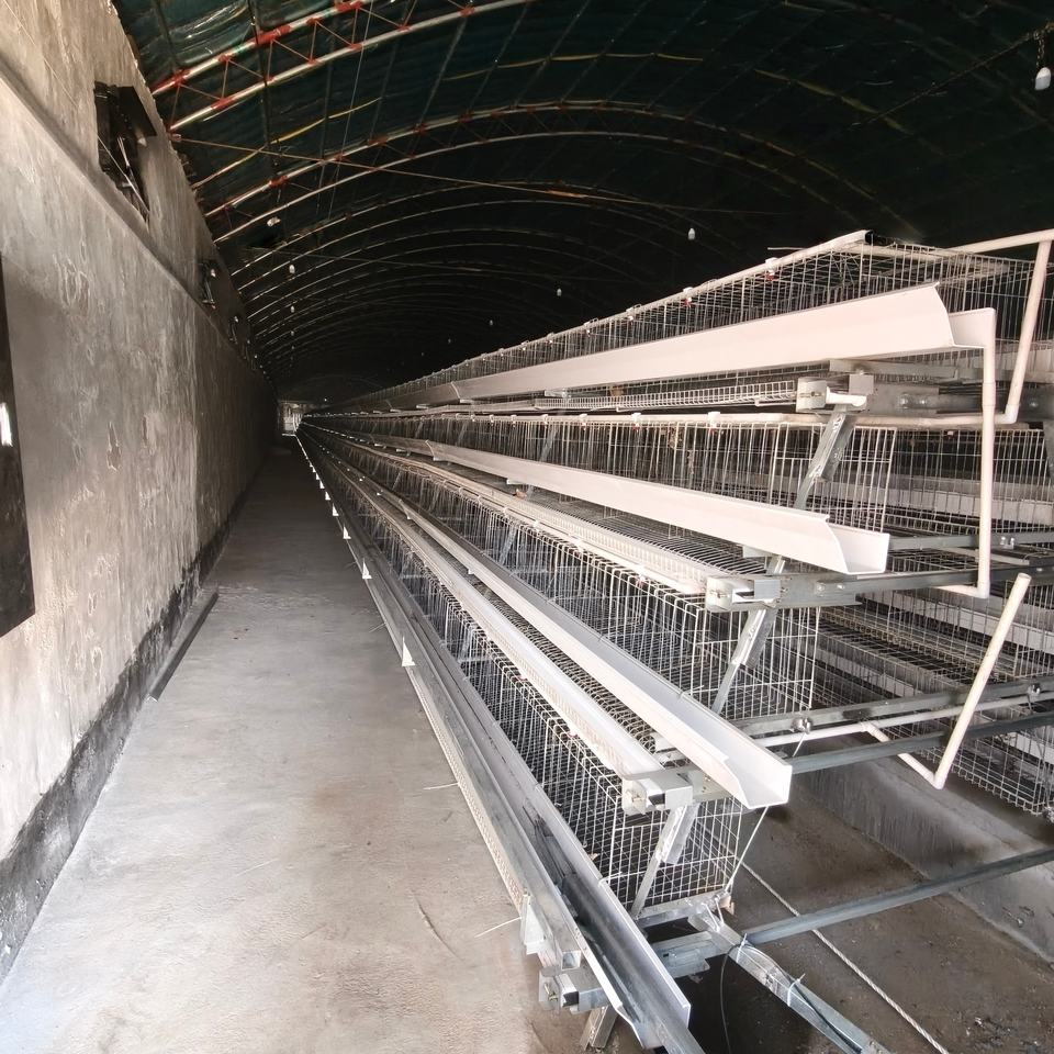 New Durable Galvanized Steel Frame Layer Chicken Cage System High ...