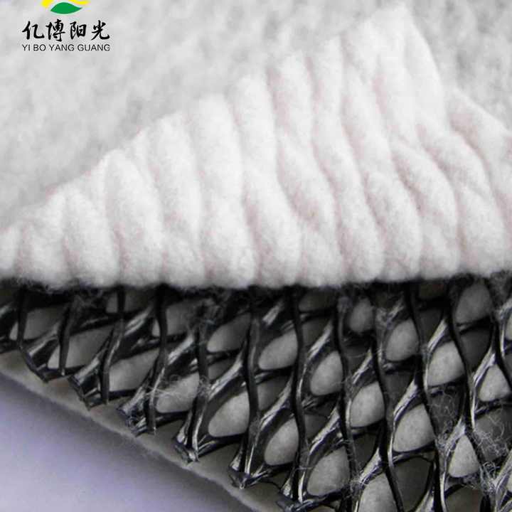 HDPE Mesh Drainage Geonet 3D Composite Drainage Mat for Railways ...