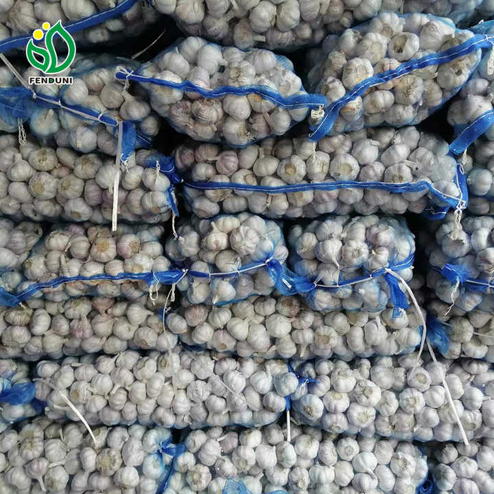 Natural White Garlic Ajos Fresh Garlic Delicious 10kg Mesh Bag Garlic ...