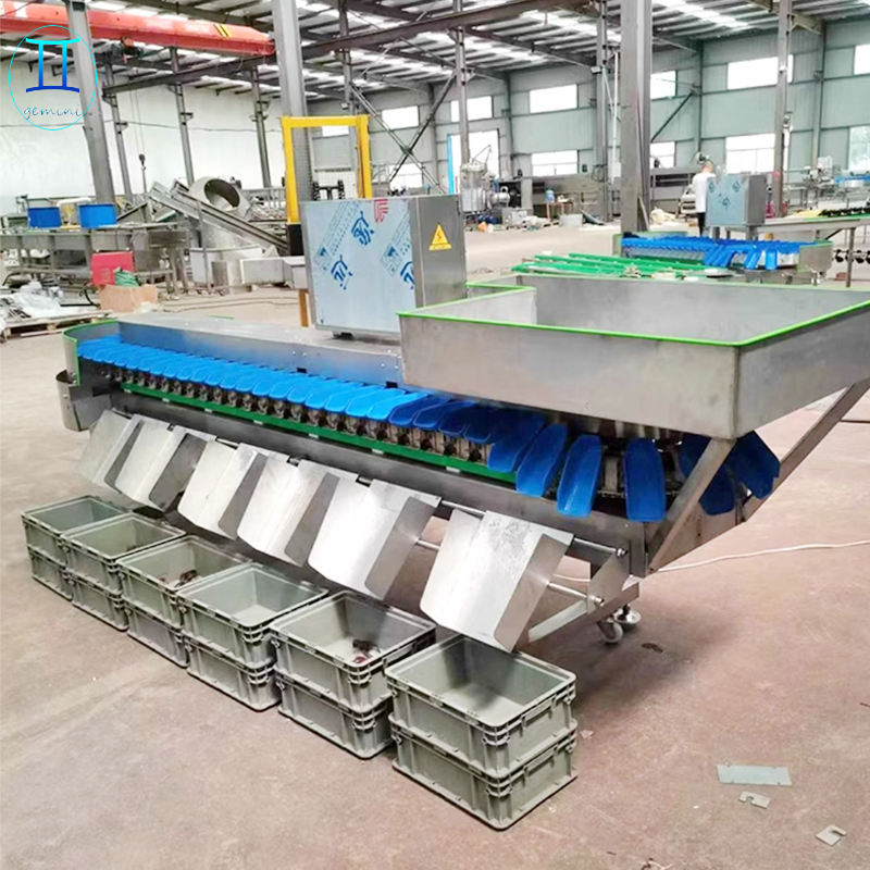 Multi Grades Weighing Sorter oyster Sea Cucumber Fish Sorting Machinery ...