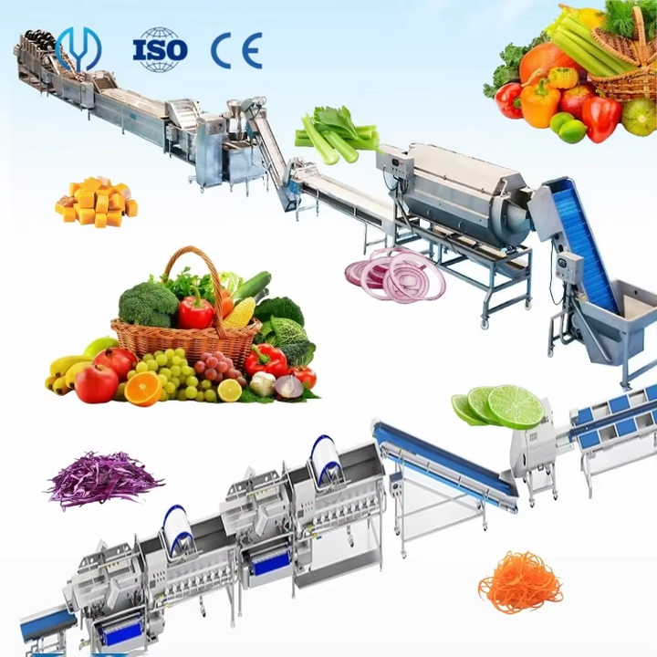 Automatic Frozen Vegetable Iqf Processing Line/fruit and Vegetable ...