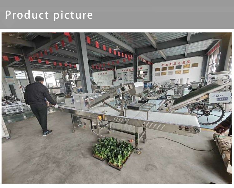 Small Capacity Bean Sprouts Harvester - Efficient & Durable