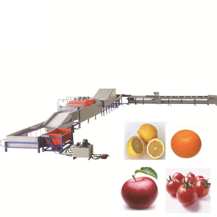 Citrus Calibrator Mango Fruit Grading Machine Potato Sorting Machine ...