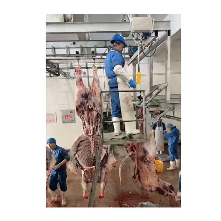 Automatic Cattle Abattoir Equipment for Beef Slaughter House Beef ...