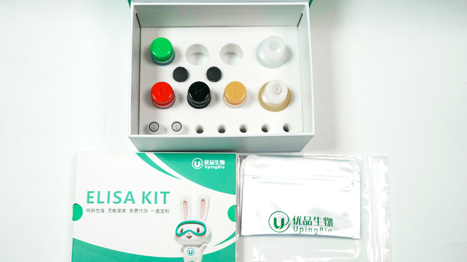 Mouse Complement fragment 4a(C4a) ELISA Kit| Alibaba.com