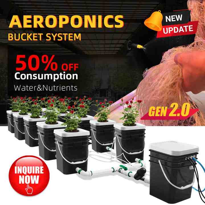 Sunplus RDWC Hydroponic Growing Systems - High Productivity