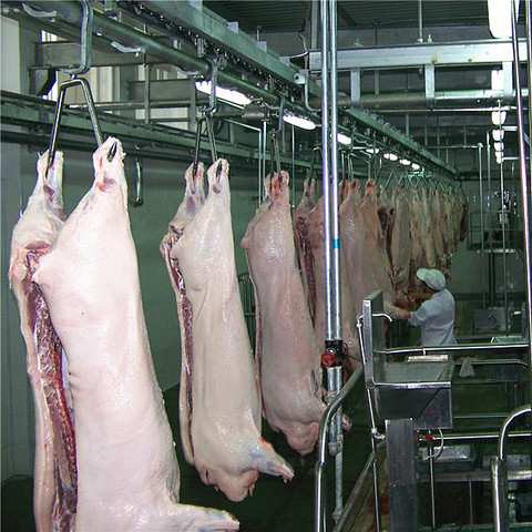 Automatic Sheep Slaughterhouse - Efficient Meat Processing