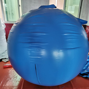 PVC Blueberry Inflation Suits - Fun & Customizable