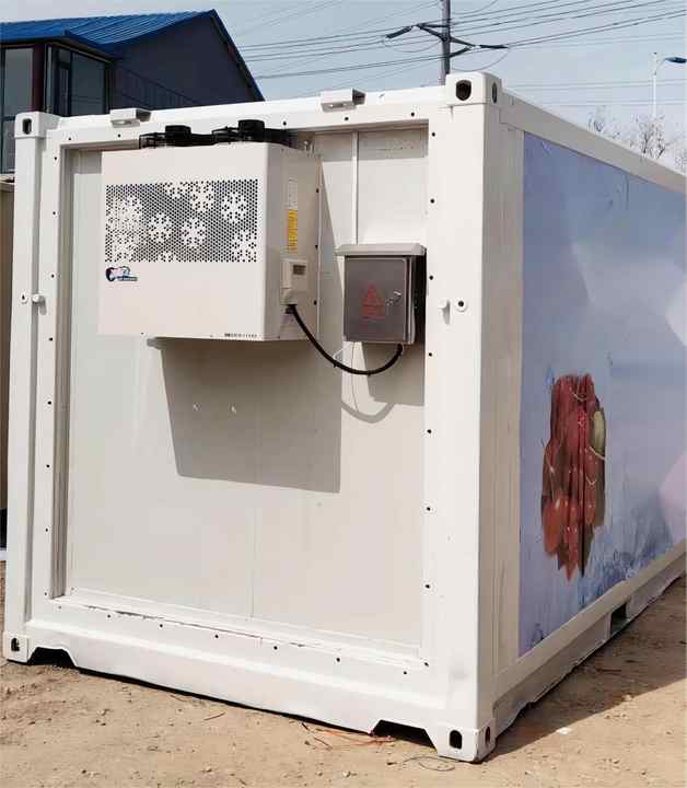 20ft Cold Room Container Solar Powered Refrigeration Solution -35 ...