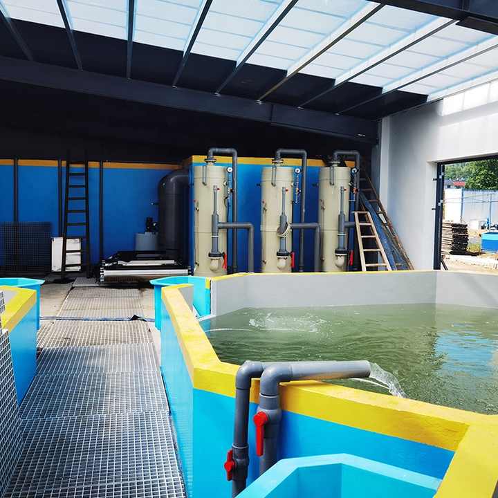 Indoor Recirculating Aquaculture System (RAS) for Tilapia Fish Farming ...