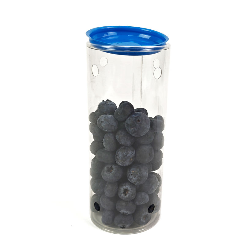 Small Plastic Blueberry Packaging Tube - Eco-friendly