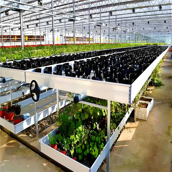 Indoor Farming Multi Layers Hydroponic Greenhouse Ebb and Flow Rolling ...