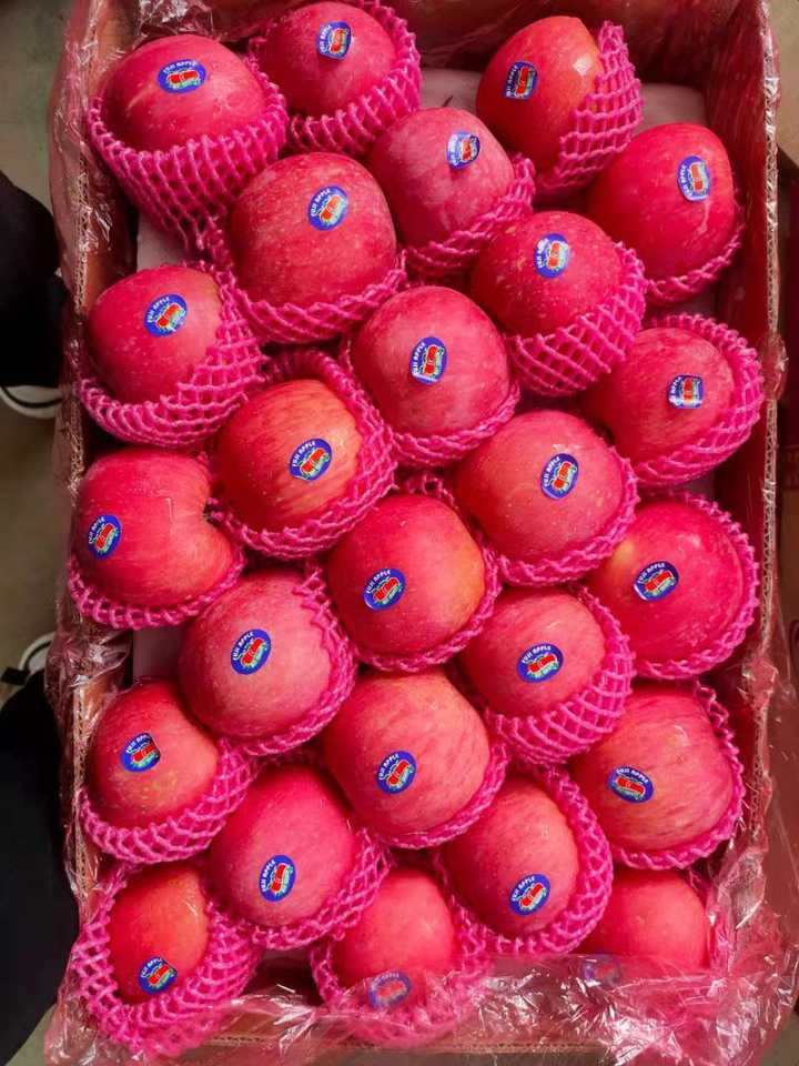 Sweet Red Fuji Apples - Fresh Chinese Huaniu Varieties