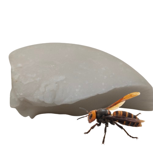 How to Choose the Best Beewax Bee Attractant for Your Hive