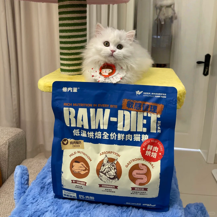 OEM Cat Food Factory High Nutrition Rounded Multiple Flavors Pet Dry ...