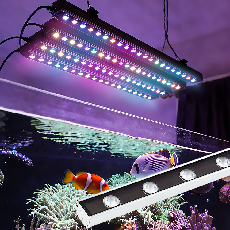 Illuminate Your Aquarium With Advanced underwater aquarium led lighting ...