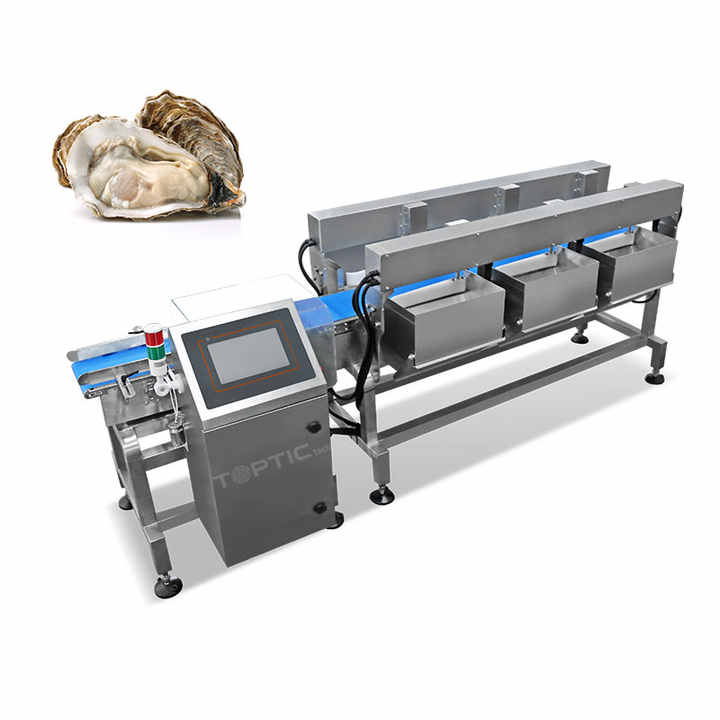 Automatic Seafood Grading Machine Sorter Classifier for Crab Lobster ...