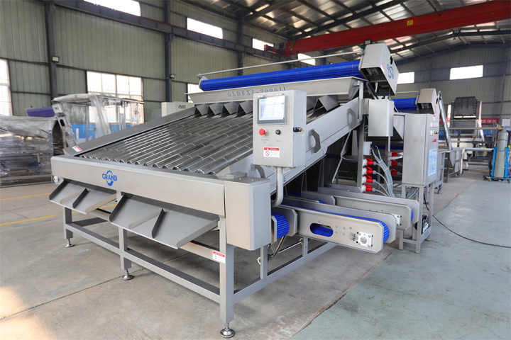 Shrimp Sorting Machine 1000kg/h - Stainless Steel Quality