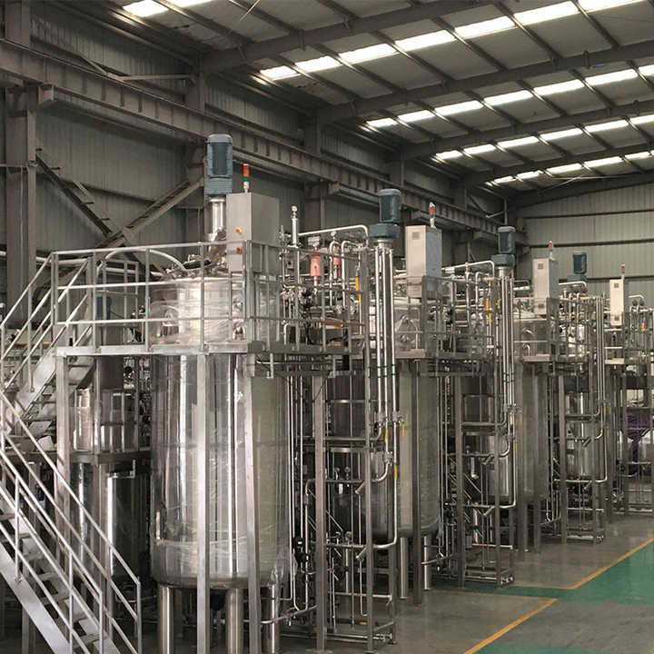RITAI Plant Cell Fermentation Tanks - Efficient Bioreactors