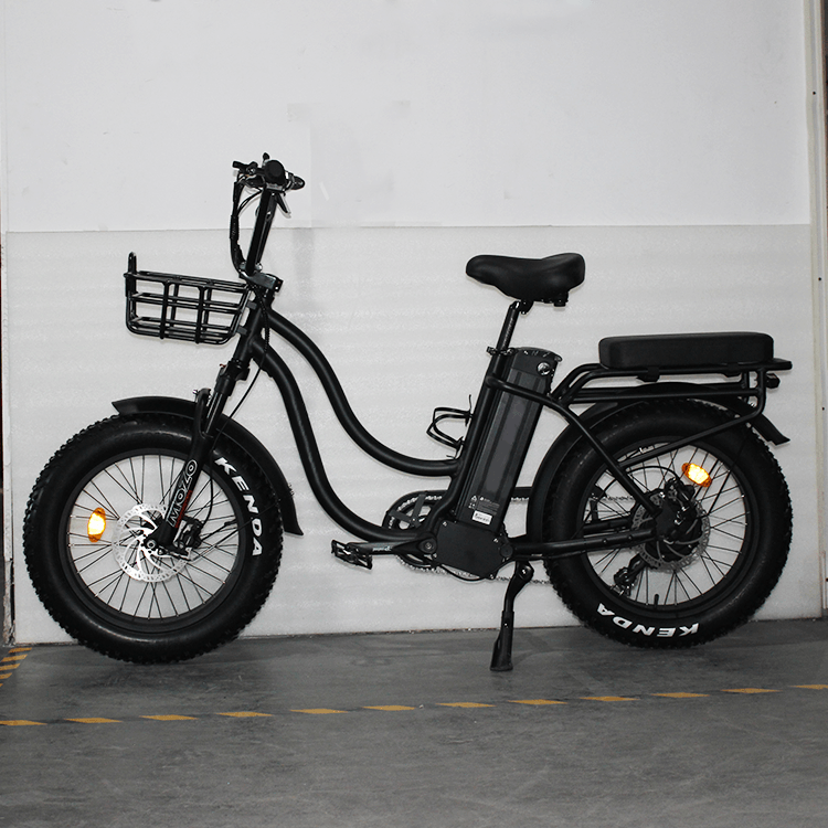 How to Choose the Best Bafang Low Step Bike for Your Needs