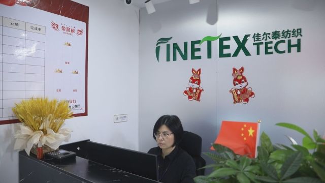 公司概述 - Nanjing Finetex Technology Company Limited