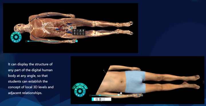 Human Virtual Anatomy Table - 3D Dissection for Medical Science