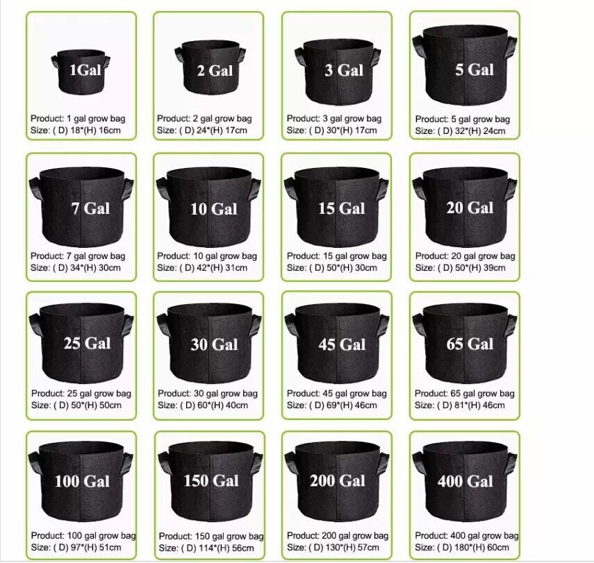 How to Choose the Best Gallon Pot for Your Needs