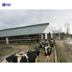 Sturdy Spacious poultry house for 3000 chickens for Varied Animals ...
