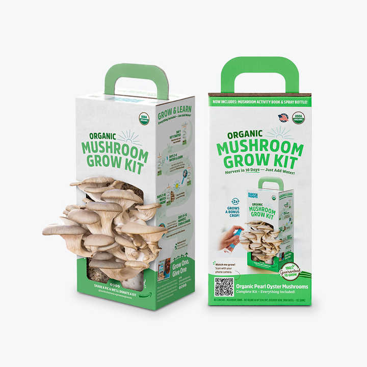 Custom Mushroom Grow Kit Packaging Box Fresh Mushrooms Fruiting Growing ...