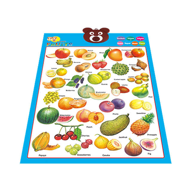 Voiced Wall Chart Burmese Language Numbers 1-100