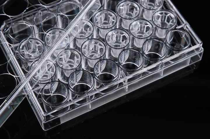 8um PET Membrane 12-Well Transwell Inserts for Cell Culture