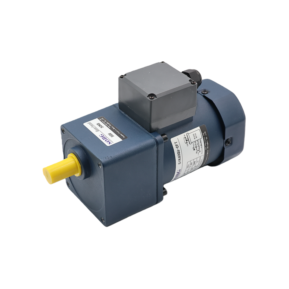 50Hz 60Hz 110V 220V 60W Single-Phase Induction Motor AC Gear Motor ...
