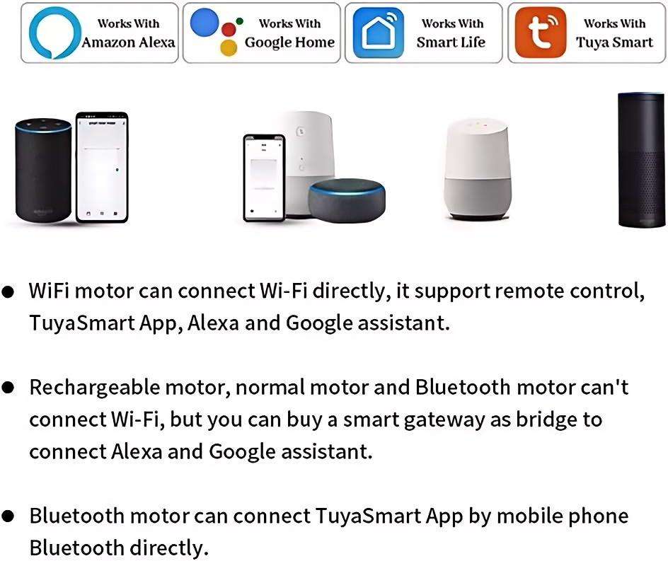 Motorized Double-Layer Blackout Roller Blinds Alexa Smart Electric ...