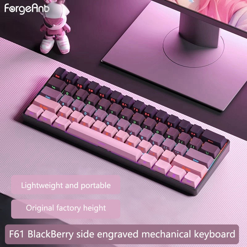 ForgeAnt F61 Wired Mechanical Keyboard for Esports - Ergonomic RGB ...