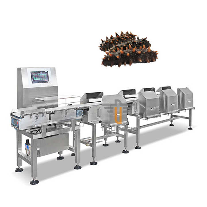 Efficient Fruit Sorting with Automatic Rotary Weight Grading Machine