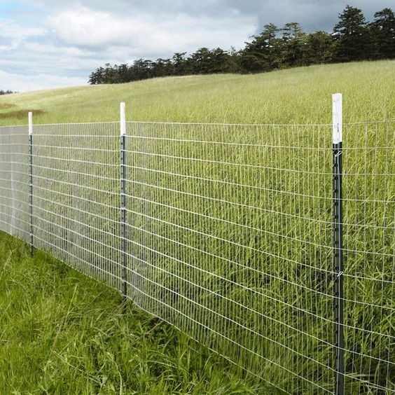Galvanized Y Post Star Picket - Heavy Duty Fencing Solutions