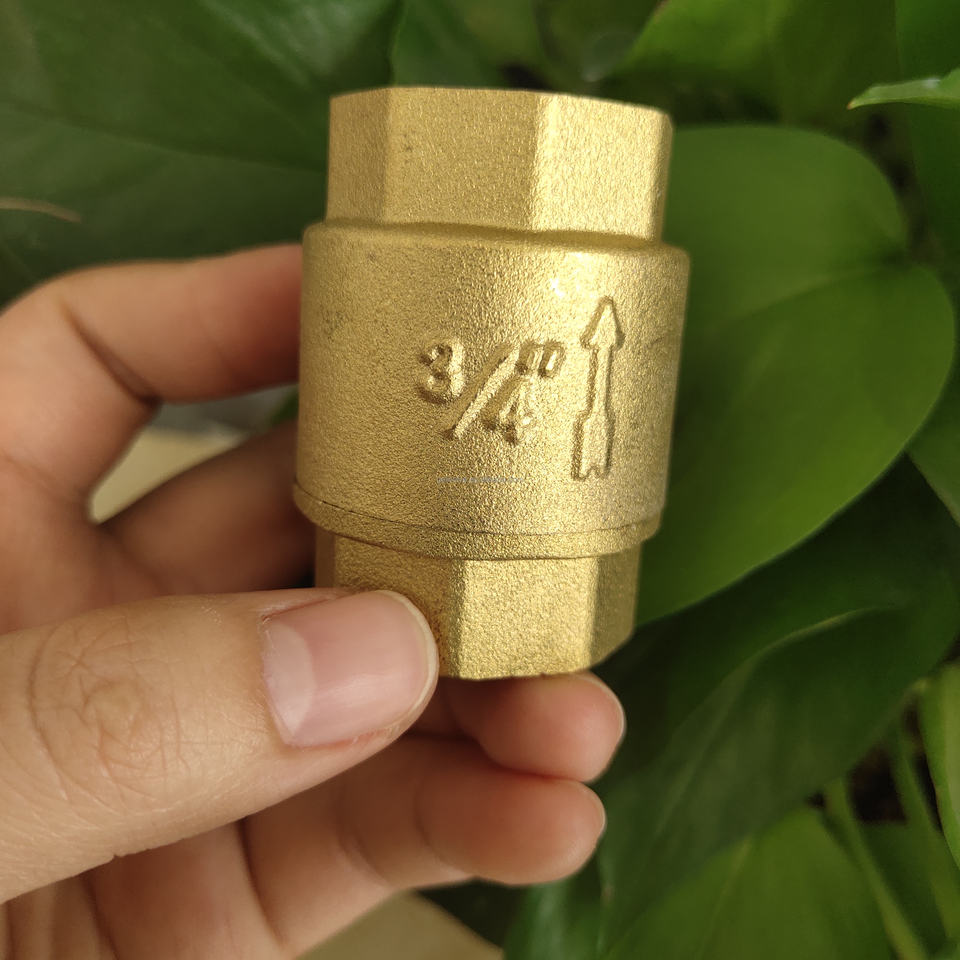Manual One-Way Copper Vertical Check Valve Brass Backflow Prevention ...