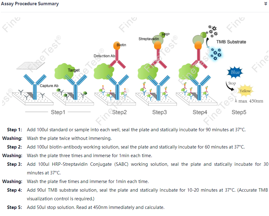 FineTest Cold-Inducible RNA-Binding Protein (CIRBP) Assay Kit Human ...