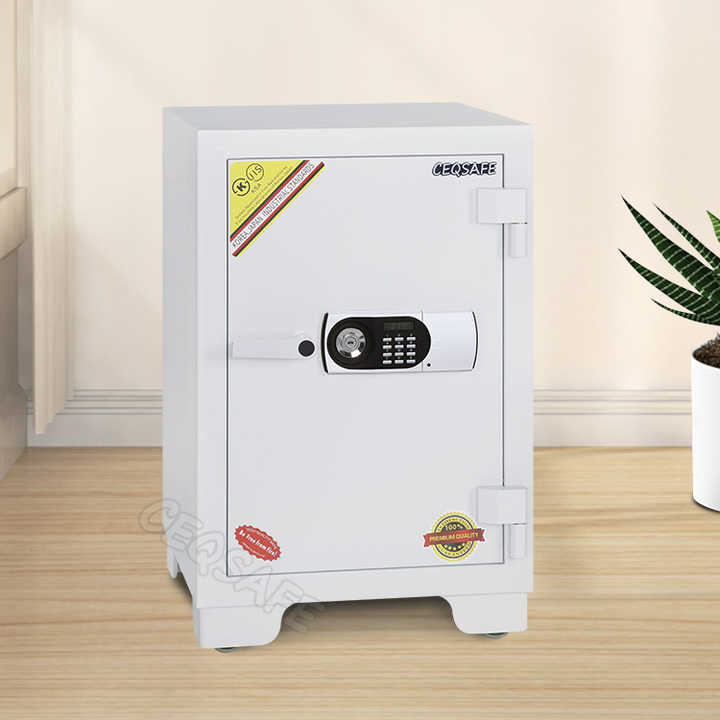 CEQSAFE 2024 China Best-selling Double Lock Electronic Wall Anti-theft ...