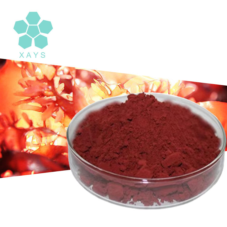 Water Soluble Dulse Red Algae Powder - Youshuo Seaweed Extract