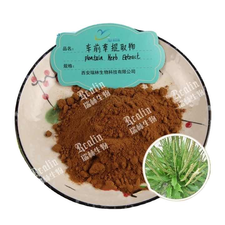 Health Supplement Plantago Asiatica Plantain Extract Powder