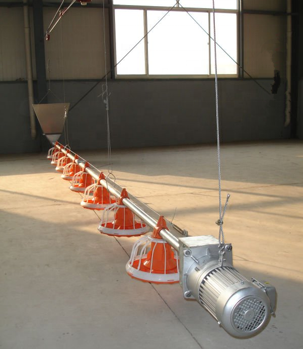 Automatic Poultry Feeder Drinker Line System for Chicken