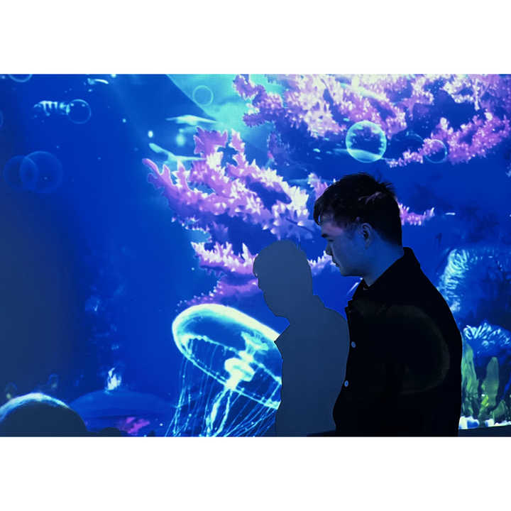 Marine Ecosystem Interactive Museum Projector Kids Projector Immersive ...