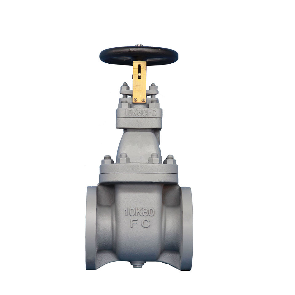 Marine Valve DN80 JIS 5K 10K Sea Water Valve Flange End Rising Stem ...