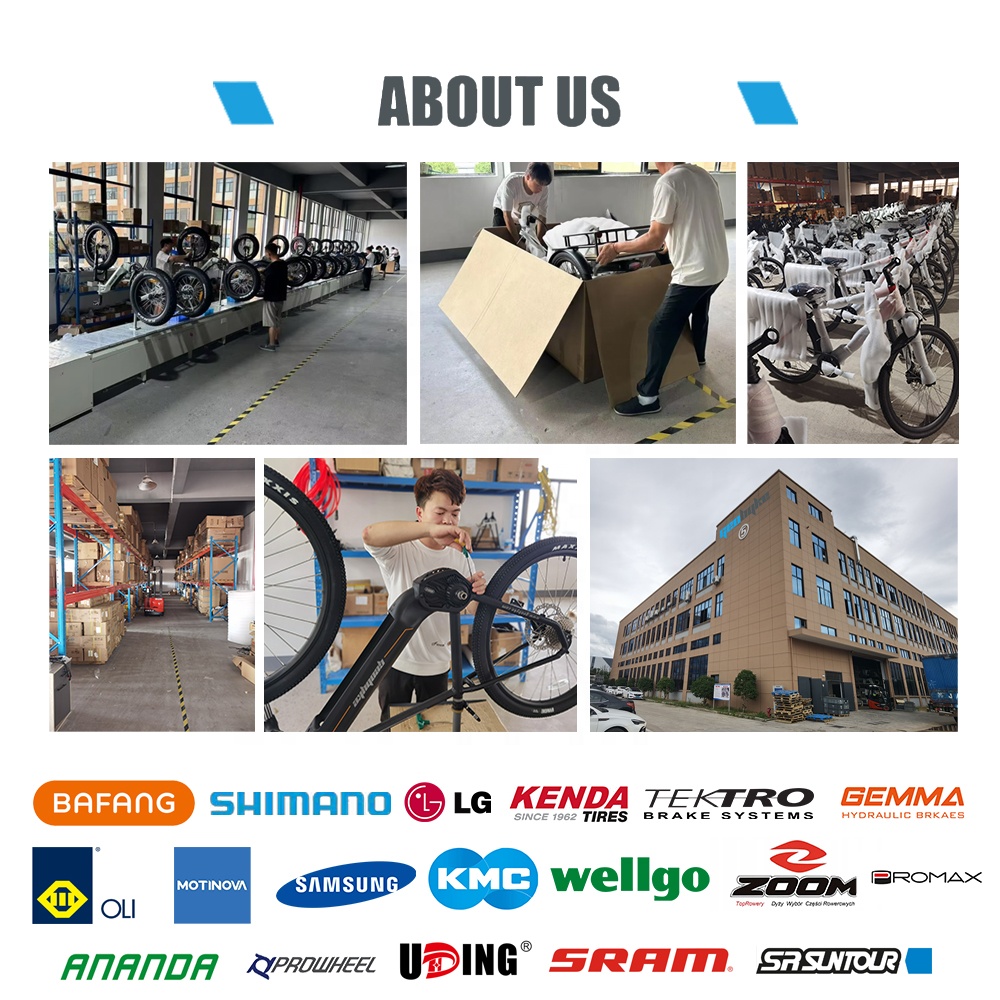 How to Choose the Best OEM Electric Bike: A Complete Buying Guide
