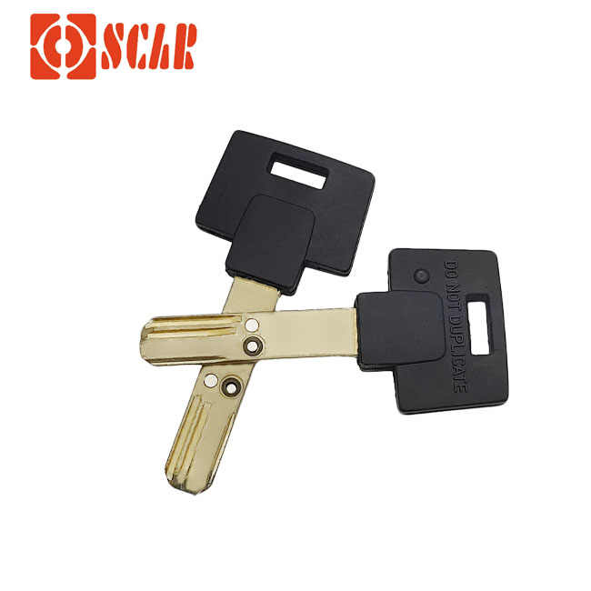 Highly Secure Interactive Key Un-cut Key Blank G B S| Alibaba.com