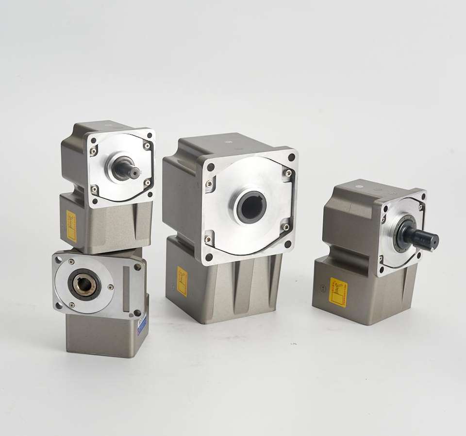 Taili 300W AC Right Angle Shaft Induction Micro Gear Motor