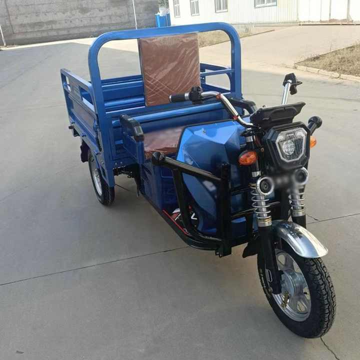 Community Electric Tricycle Rear Axle Moto Cargo 650W Electric Tricycle ...