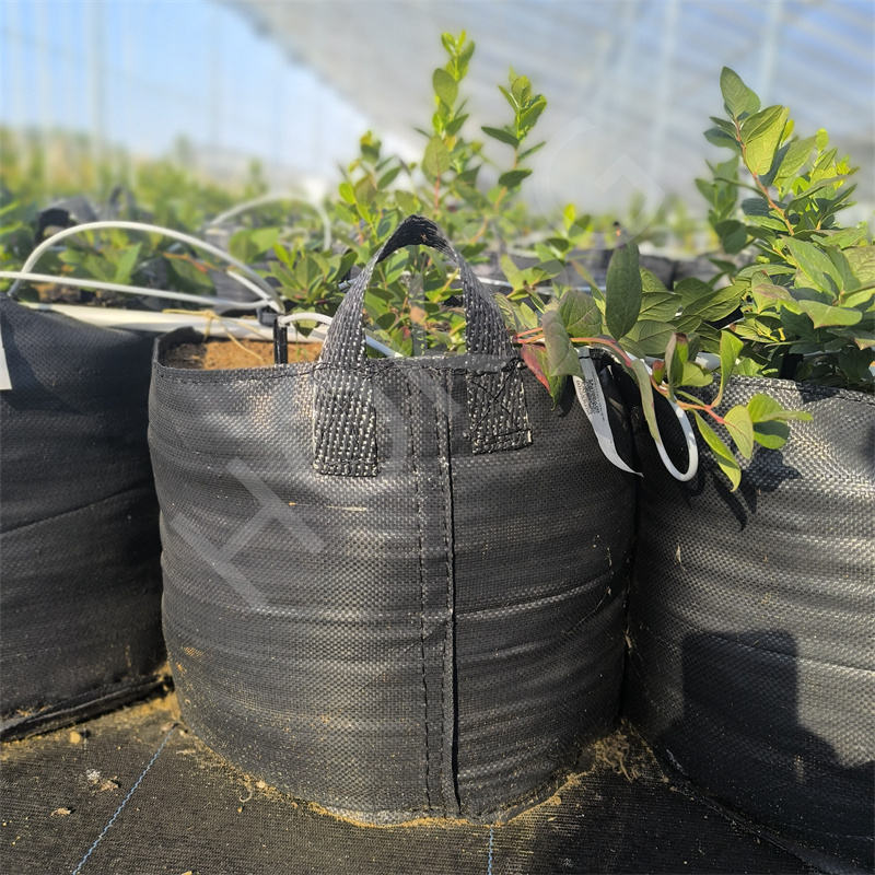 HOKBG Blueberry Planting Pots - Breathable & Eco-friendly
