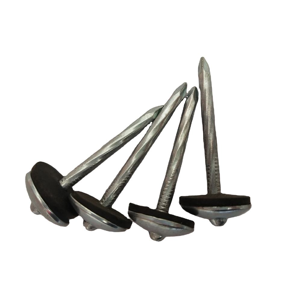 Galvanized Iron Roofing Nail with Cap Head Smooth Shank Grade DIY Model ...